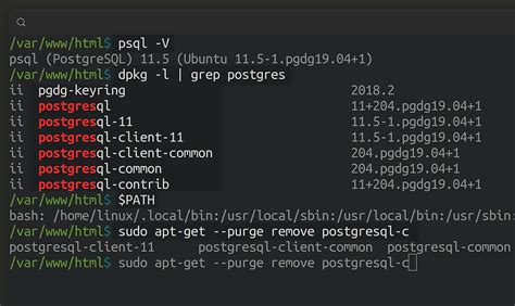 Uninstalling Postgresql A Step By Step Guide To Removing It Completely