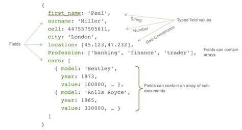 MongoDB Data Types Field Value Pairs Studio 3T