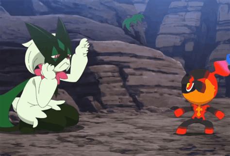 Meowscarada Charcadet  Meowscarada Charcadet Pokemon Discover