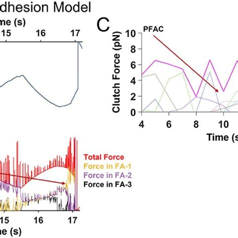Pfac Dynamics Left The Pfa Model Exhibits Rescue Events That Prolong