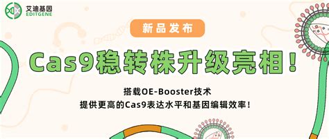 基因编辑服务 基因敲除细胞点突变文库筛选基因插入crispr检测稳转株构建艾迪基因editgene 艾迪基因