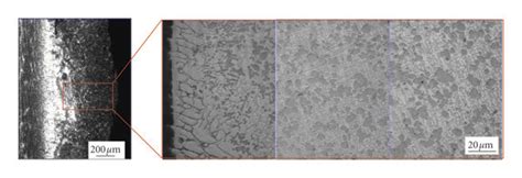 microstructure of the co50 tic claddings a b cladding b c