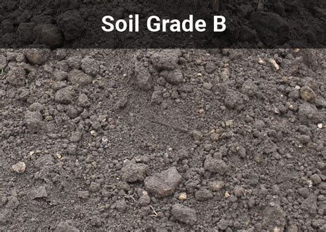 Soil Grade B Brauncewell Quarries Ltd