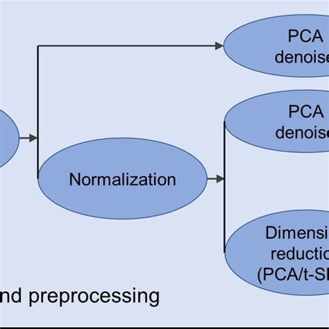 Data Processing Workflow Download Scientific Diagram