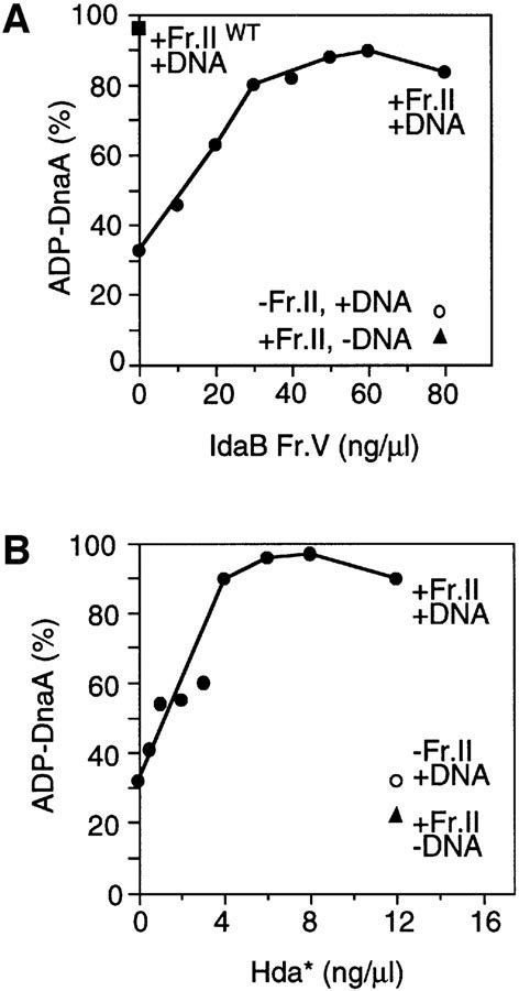 Hda A Novel Dnaa‐related Protein Regulates The Replication Cycle In