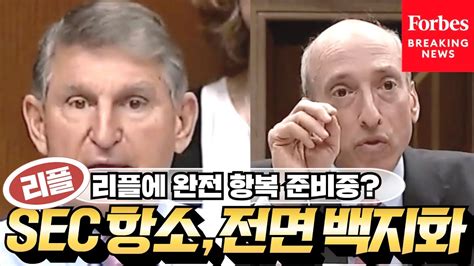 리플 비트코인 이더리움 Sec 항소 전면 백지화 Youtube