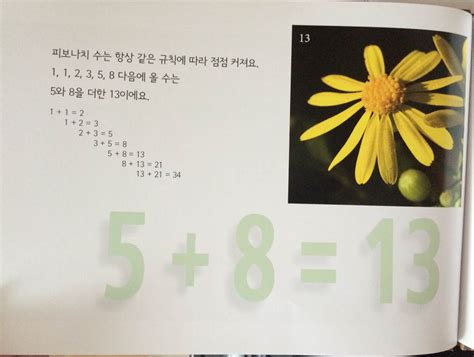 Growing Patterns Sarah C Campbell