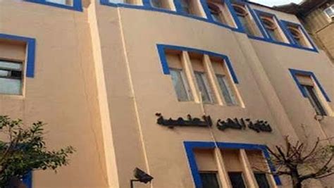 استخراج كارنية نقابة العلميين اعرف الأوراق المطلوبة والرسوم والمزايا