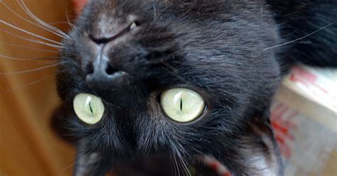 Как Начать Работу с Django Первые Шаги в Разработке Веб Приложений — Teletype