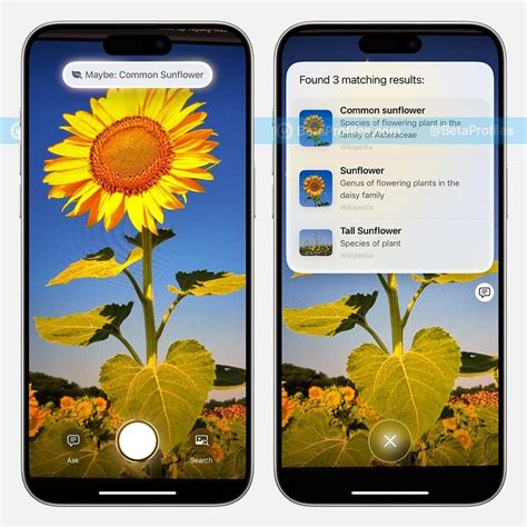 With Ios 183 Iphone 16 Series Users Can Now Use Visual Intelligence To Recognize Plants And