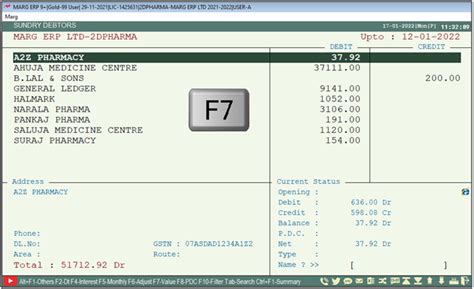 How To Filter Debtor Ledger On The Basis Of Amount In Marg Software