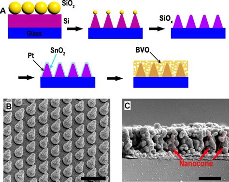Efficient Solar Driven Water Splitting By Nanocone Bivo4 Perovskite Tandem Cells Science Advances