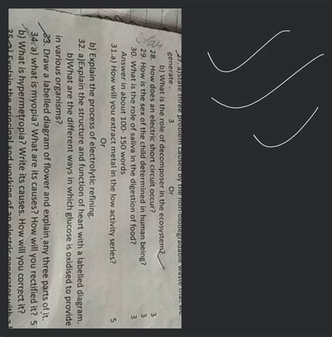 Generate 3 Orb What Is The Role Of Decomposer In The Ecosystem28 Ho