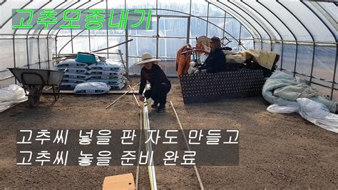 1월25일 하우스 고추모종내기 고추씨 넣을 준비 완료~ Youtube