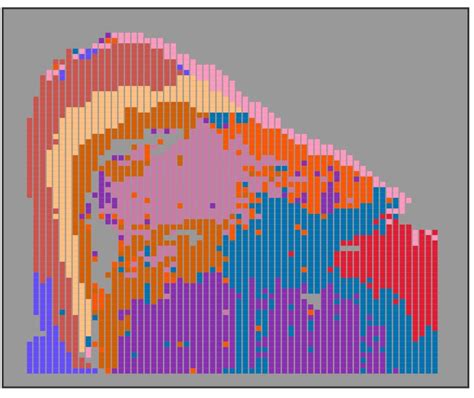 Spatialtranscriptomics Gynecologicalcancer Cancerresearch… M20 Genomics