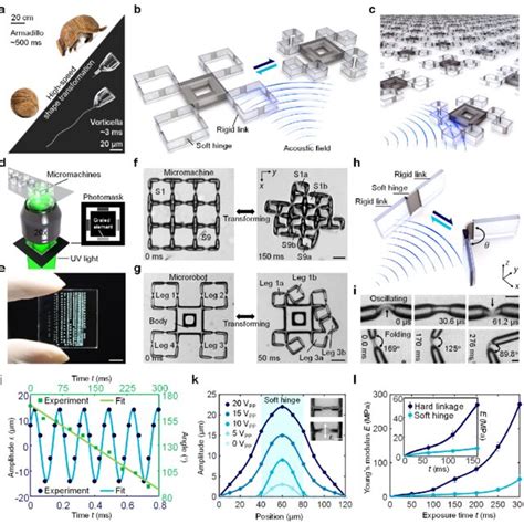 Ultrafast Acoustically Actuated Shape Transformation A Ultrafast Download Scientific