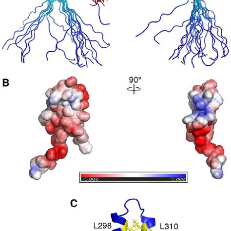 3d Structure Of The Thb Domain A Ribbon Diagram Of The Solution Nmr Download Scientific