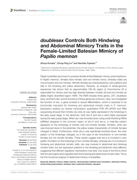 Pdf Doublesex Controls Both Hindwing And Abdominal Mimicry Traits In The Female Limited