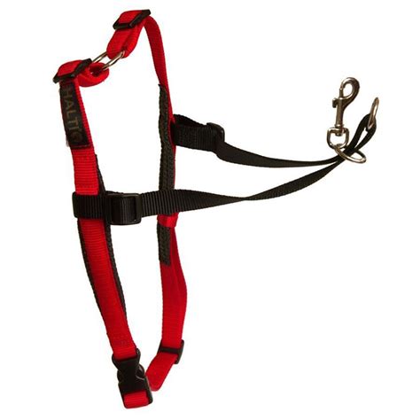 Halti Harness - Kootenay Pet Stop
