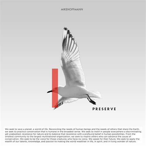 Дизайн плаката с белой птицей на красном и сером фоне