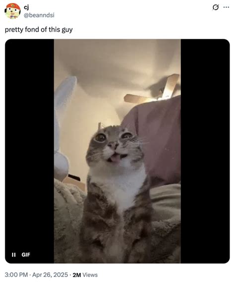 April 26th 2025 Tweet By Beanndsi Know Your Meme