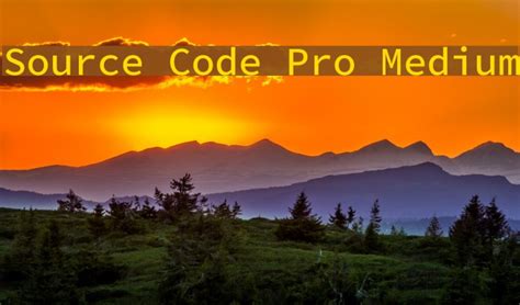 Source Code Pro Medium Font FFonts Net