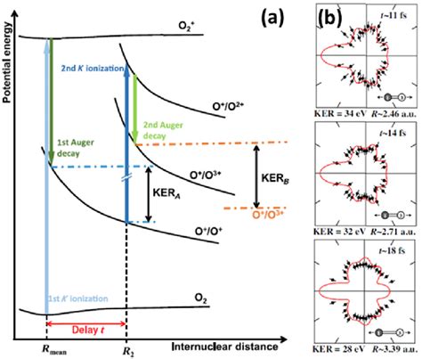 Schematic Of The Pap Two Photon K Shell Ionization Of O 2 Leading To