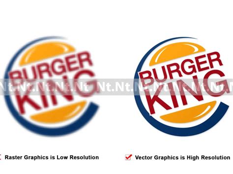 Vectorized Version Of Your Logo Or Any Image File Illustration Nft