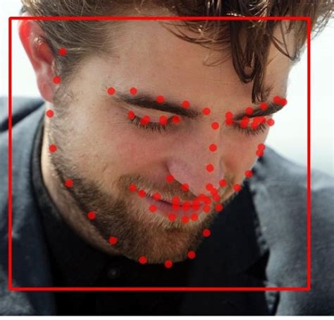 Maskface Multi Task Face And Landmark Detector Deepai