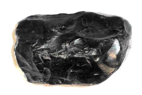 Flint New World Encyclopedia