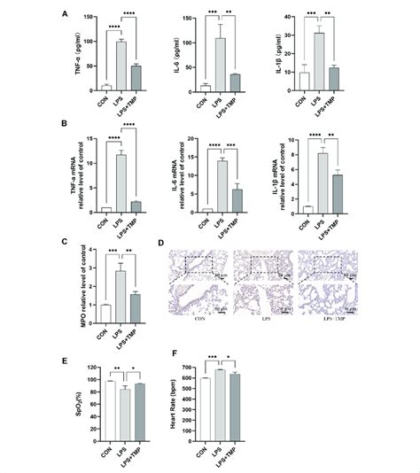 Mices Lung Function And Inflammation Were Affected By Tmp A Serum Download Scientific