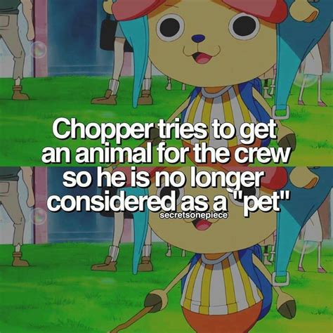 Pin By Andy Gemmell On Sara One Piece Funny One Piece Crew One Piece Pictures