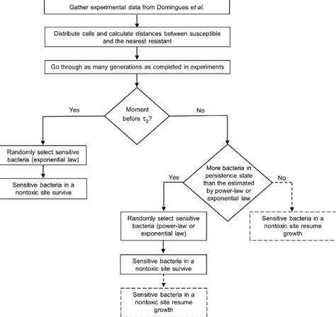 Flowchart Of The Program After Distributing Cells In The Plate The