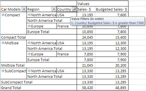 Excel Pivot Tables Filter Data Items Values And Dates Excelanytime
