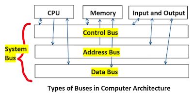 Bus Structure In Computer Organization EasyExamNotes Com