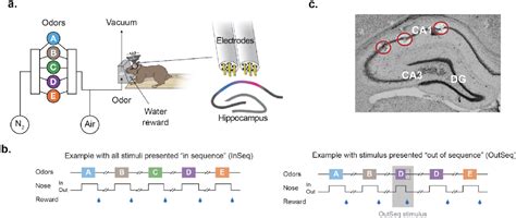 Figure 1 From A Model Agnostic Graph Neural Network For Integrating Local And Global Information