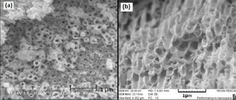 Sem Micrograph Of An Array Of Tio 2 Nanotubes Grown By Dc Download