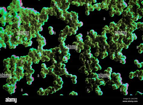 Staphylococcus Aureus Coloured Scanning Electron Micrograph Sem Of A Colony Of Staphylococcus