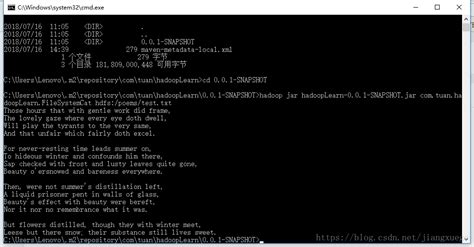 《hadoop权威指南》学习笔记（一） new url args[i] openstream 表示什么功能 csdn博客