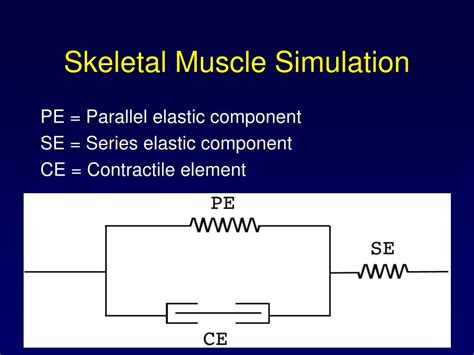 Ppt Chapter 23 Instrumentation For Motion Analysis Powerpoint