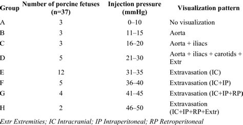 Visualization Patterns With Different Injection Pressures Download