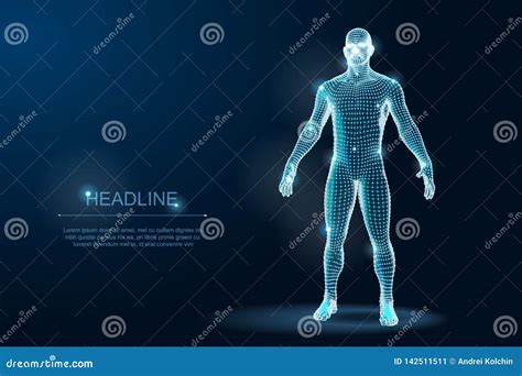 Modèle Polygonal Du Corps Humain 3d Wireframe Illustration De Vecteur