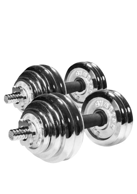 2 ცალი 25 კილოგრამიანი ჰანტელი Sportlines Ge