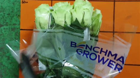 인터넷꽃도매시장 콜롬비아수입장미와사비 Youtube