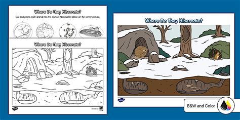 Where Do They Hibernate Cut And Paste Worksheet For Pk K