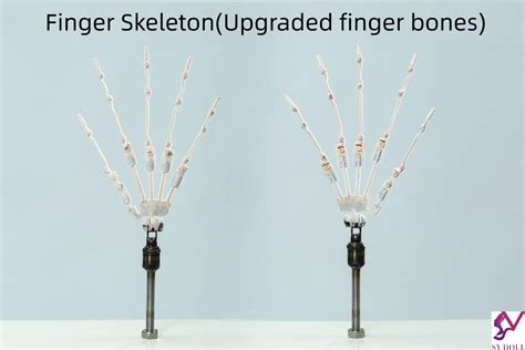 Sex Doll 101 A Beginners Guide Kanadoll