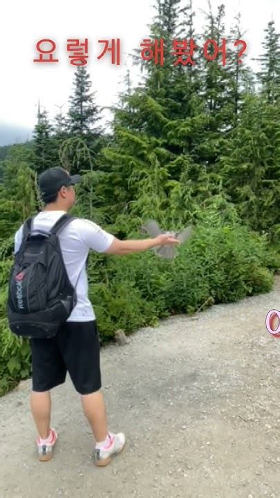 요렇게 새 모이 주기 Youtube