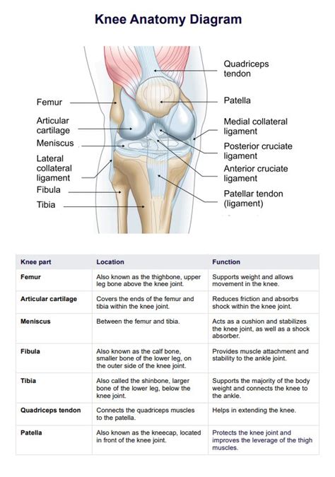 Patient Positioning In Bed Pdf And Example Free Pdf Download