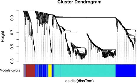 Cluster Dendrogram Of Mrna Modules Dataset Gse52194 Branches Of The