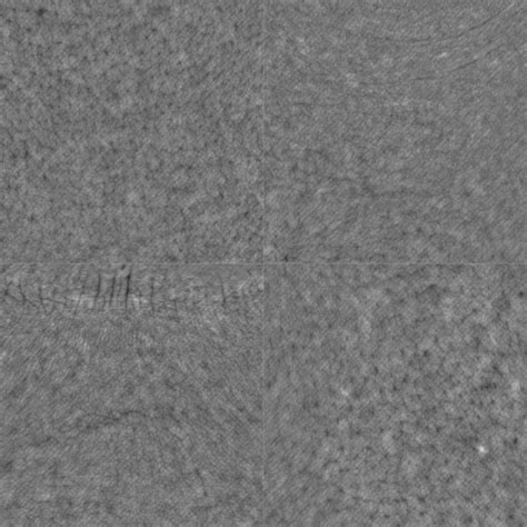 Male And Female 16 X Hd Displacement Map Pack 01 Male And Female 16 X Hd Displacement Map Pack 01